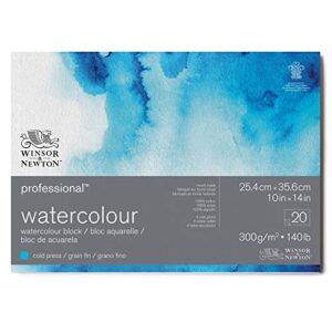 winsor & newton professional watercolor paper block, 10" x 14", cold pressed