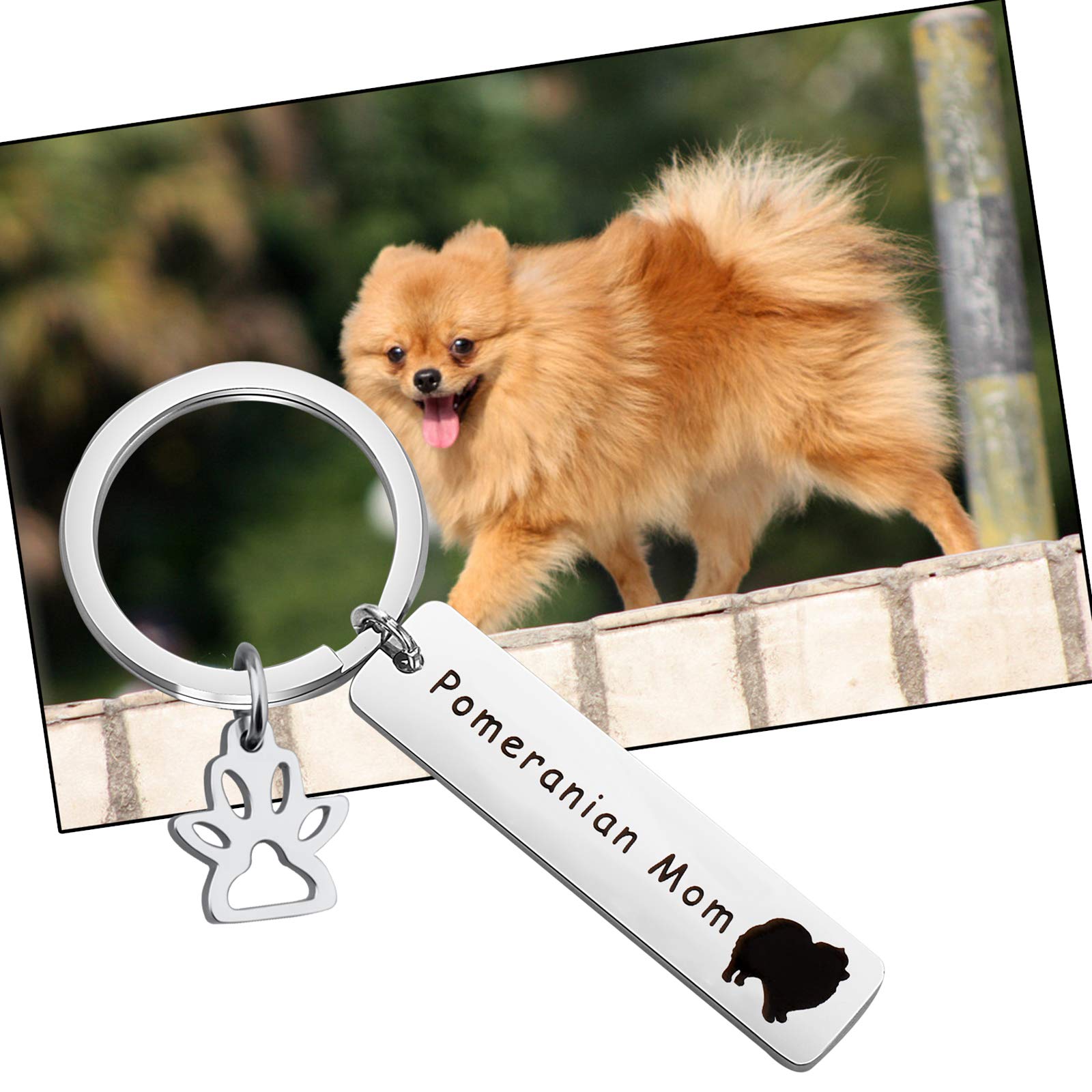 LQRI Pomeranian Pom Jewelry Pomeranian Mom Pomeranian Dad Keychain with Dog Paw Charm Pomeranian Gifts for Pomeranian Owner (Pomeranian mom)