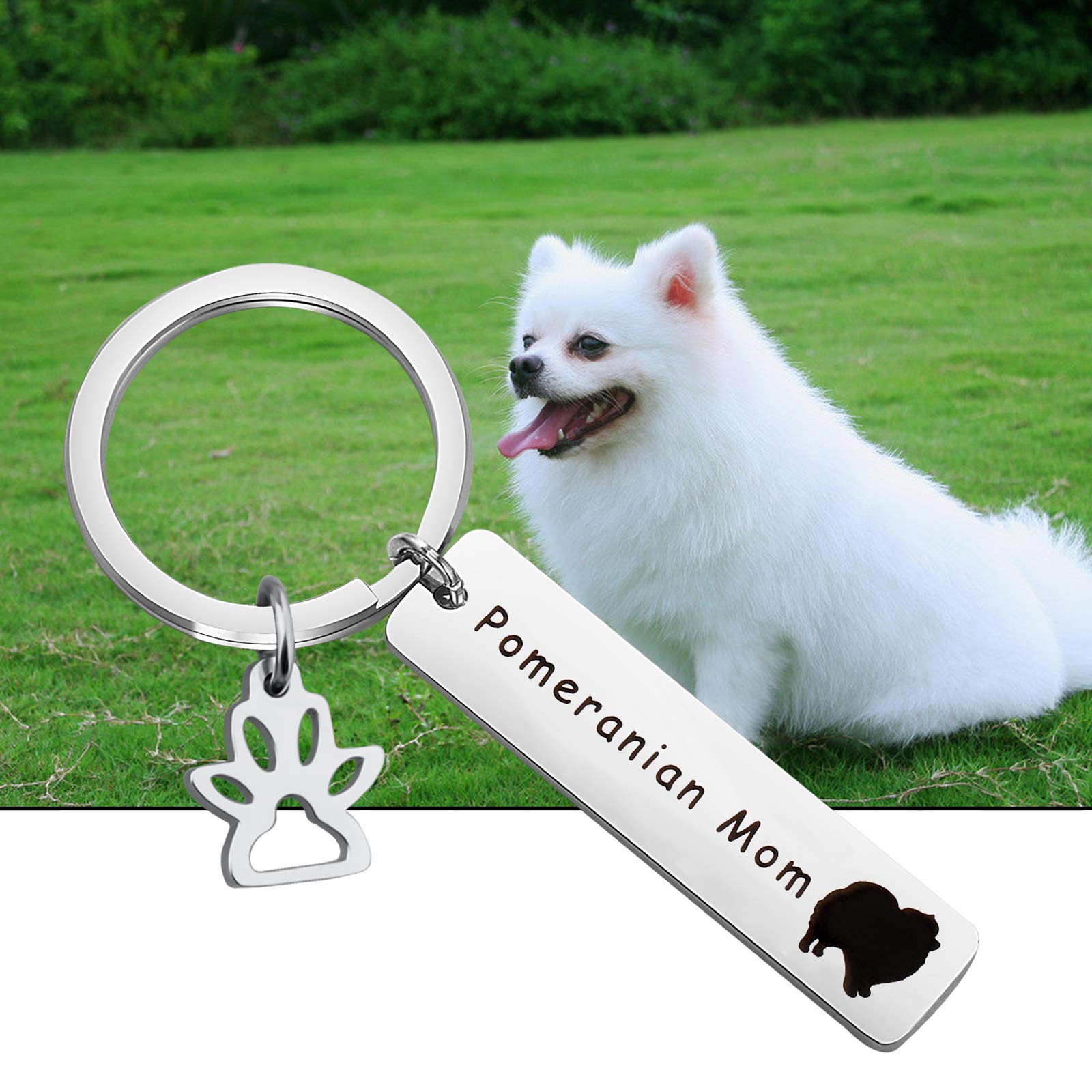 LQRI Pomeranian Pom Jewelry Pomeranian Mom Pomeranian Dad Keychain with Dog Paw Charm Pomeranian Gifts for Pomeranian Owner (Pomeranian mom)