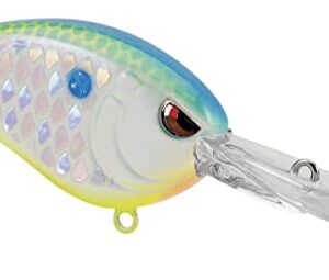 SPRO Fishing SLJMCDD45CSD Little John MCR Dd 45 Citrus Shad Treble Rb Nsb 6