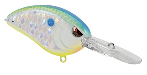 SPRO Fishing SLJMCDD45CSD Little John MCR Dd 45 Citrus Shad Treble Rb Nsb 6