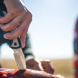 Old Timer Trail Boss 9in Fixed Blade Caping Knife with High Carbon Stainless Steel Blade, TPE Grip Handle, and Custom Molded Sheath for Hunting, Field Dressing, Skinning, Gutting, and Outdoors