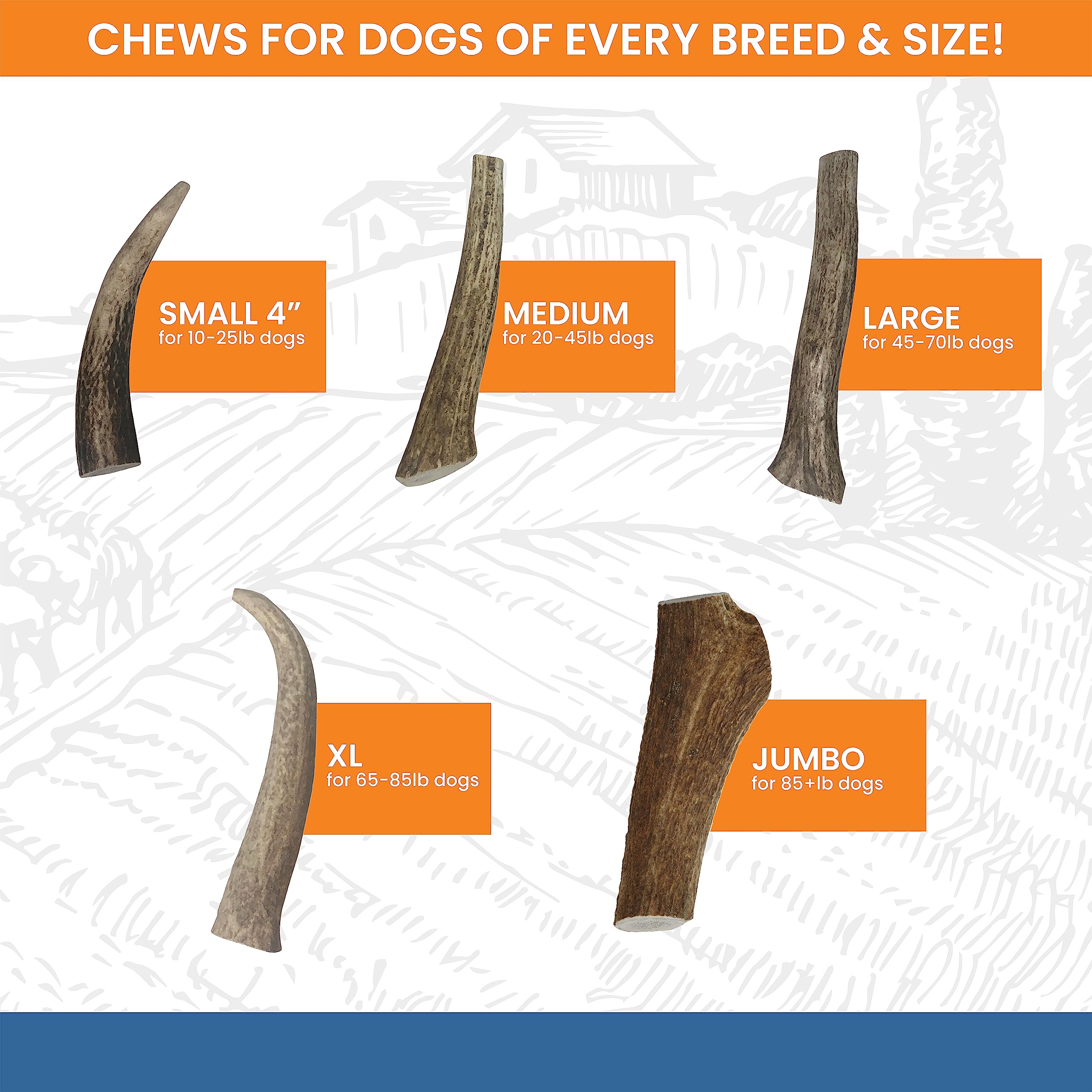 K9warehouse Split Antler for Dogs - Natural Dog Antlers for Aggressive Chewers - USA Sourced Elk Antlers for Dogs Small, Medium, Large - Healthy Elk Antlers for Teeth Cleaning & Chewing Pleasure