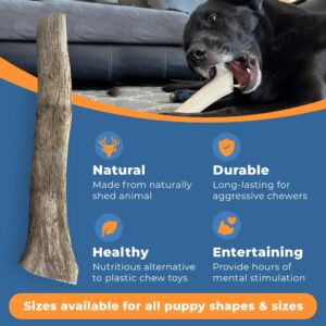 K9warehouse Split Antler for Dogs - Natural Dog Antlers for Aggressive Chewers - USA Sourced Elk Antlers for Dogs Small, Medium, Large - Healthy Elk Antlers for Teeth Cleaning & Chewing Pleasure