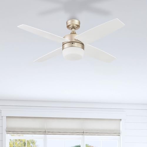 Prominence Home Atlas, 44 Inch Modern Indoor LED Ceiling Fan with Light and Remote Control, Dual Mounting Options, Dual Finish Blades, Reversible Motor - 51470-01 (Champagne)