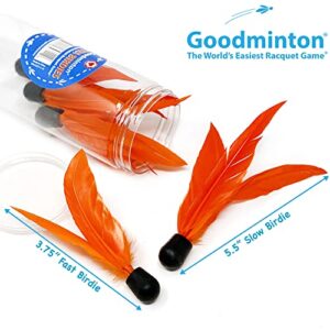 VIAHART Goodminton - The World's Easiest Racquet Game 6 Extra Birdies