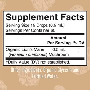 MaryRuth Organics Lions Mane Mushroom Supplement, Upto 2 Month Supply, Nootropic USDA Organic Lions Mane Extract Nervine Herbal Liquid Drops, Brain Health Non-GMO Vegan Alcohol Free Tincture, 1 Fl Oz