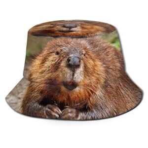 cute funny beaver unisex bucket hat summer travel beach sun hats outdoor cap