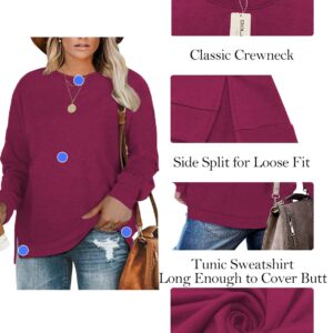 DOLNINE Plus Size Sweatshirts for Women Fall Winter Shirts Tunics Maroon-16W