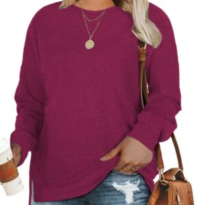 DOLNINE Plus Size Sweatshirts for Women Fall Winter Shirts Tunics Maroon-16W