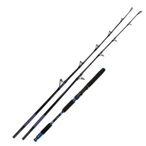 Fiblink Saltwater Fishing Rod Carbon Fiber Jigging Rod with 2 Piece Twin-Tip Spinning & Casting Portable Travel Fishing Jig Rod (Blue 5'6" 30-50lbs 2pcs)