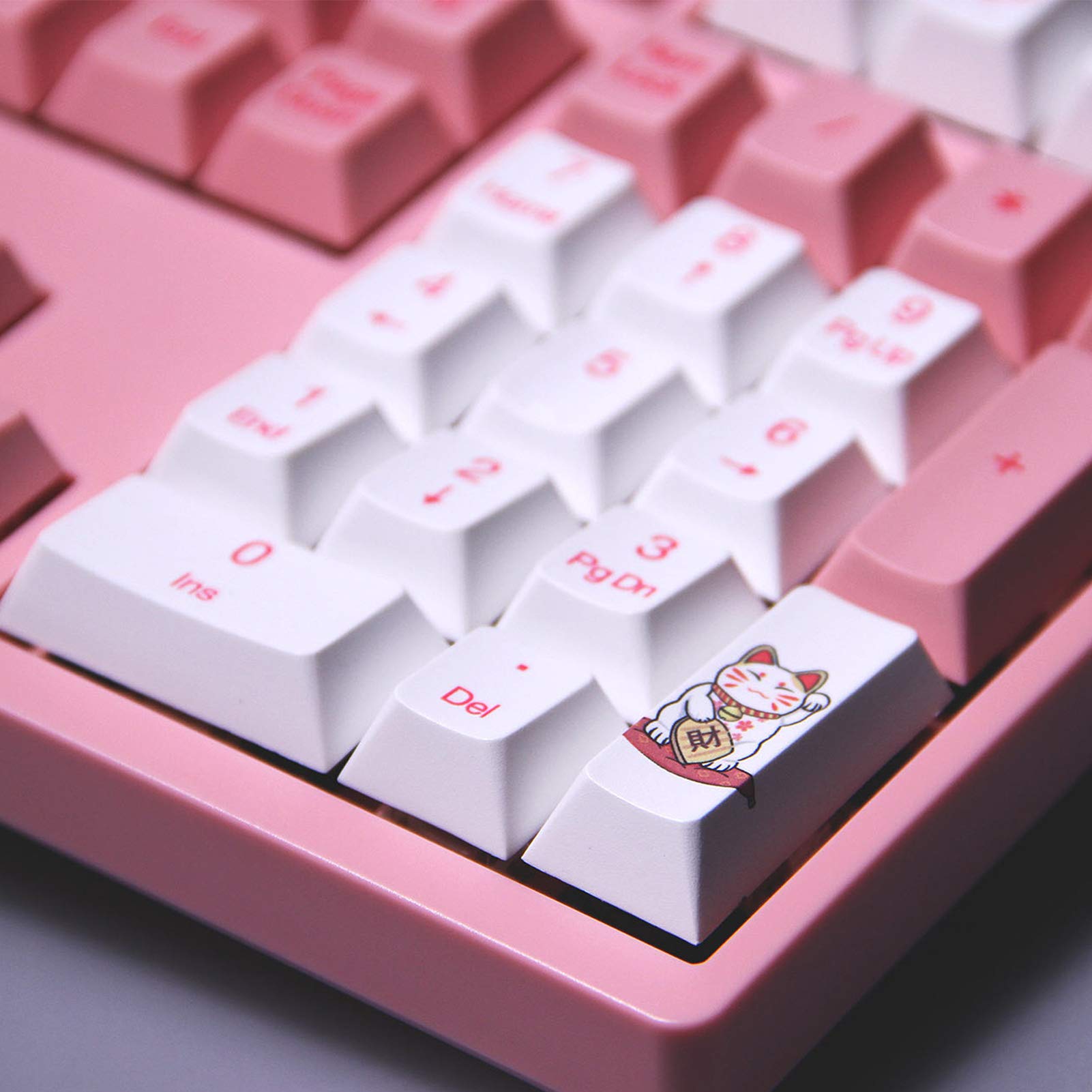 Akko World Tour Tokyo 108-Key R1 Wired Pink Mechanical Gaming Keyboard, Programmable with OEM Profiled PBT Dye-Sub Keycaps and N-Key Rollover, Mac/Win Compatible (Akko Cream Yellow Switch)