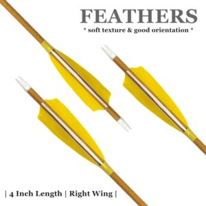 M.SJUMPPER ARCHERY 500 Spine Carbon Arrows with 4 Inch Feathers Fletching for Compound Recurve Bows (12 Pack)