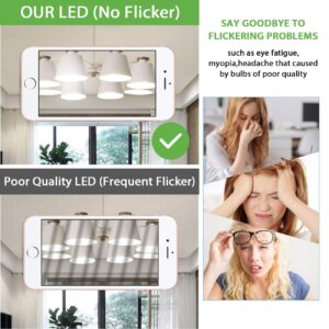 Prosperbiz 150-200W Equivalent 23W LED Bulb, A21 LED Super Bright Light Bulb, 2500 Lumens, Daylight White 5000K for Home, Office, Store, Garage, Warehouse, Garden, Commercial Lighting