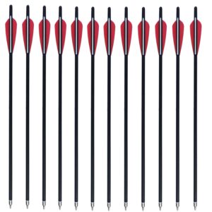 TIT-COYO 20 22 Inch Crossbow Bolts and Crossbow Broadheads Set Carbon Crossbow Arrows for Hunting and Outdoor Practice, 12pcs Red Arrows 12pcs Broadheads(24 Pack) (20)