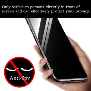 Synvy Privacy Screen Protector, Compatible with IO DATA I O LCD-AD194EB LCD-AD194EW 18.5" Display Monitor Anti Spy Film Protectors [Not Tempered Glass]