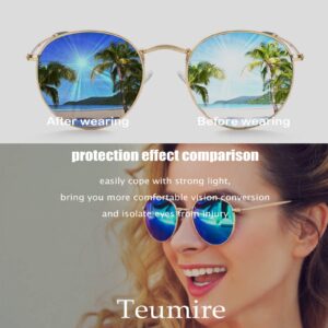 Teumire Small Round Polarized Sunglasses for Women Men Classic Retro Sun Glasses Circle Metal Frame Shades UV Protection(Gold Frame/Black Lens)