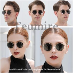 Teumire Small Round Polarized Sunglasses for Women Men Classic Retro Sun Glasses Circle Metal Frame Shades UV Protection(Gold Frame/Black Lens)