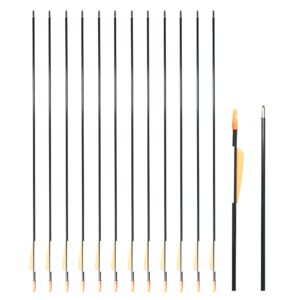 sas fiberglass archery arrow 28" with 3" vanes + coat head + plug nock for youth target practice recurve compound bow shooting recreation kid range (black 12/pack)