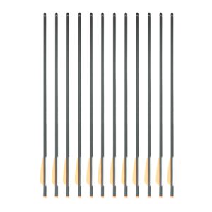 Wizard Archery SAS Carbon Crossbow Bolts 20 22 Inch with 3 inches Shield Vanes Pulletpoint Arrowhead Tip and Halfmoon Nock - 12/Pack - for Hunting Target Practice Archery Arrows (20 inches ) Orange/White Vanes