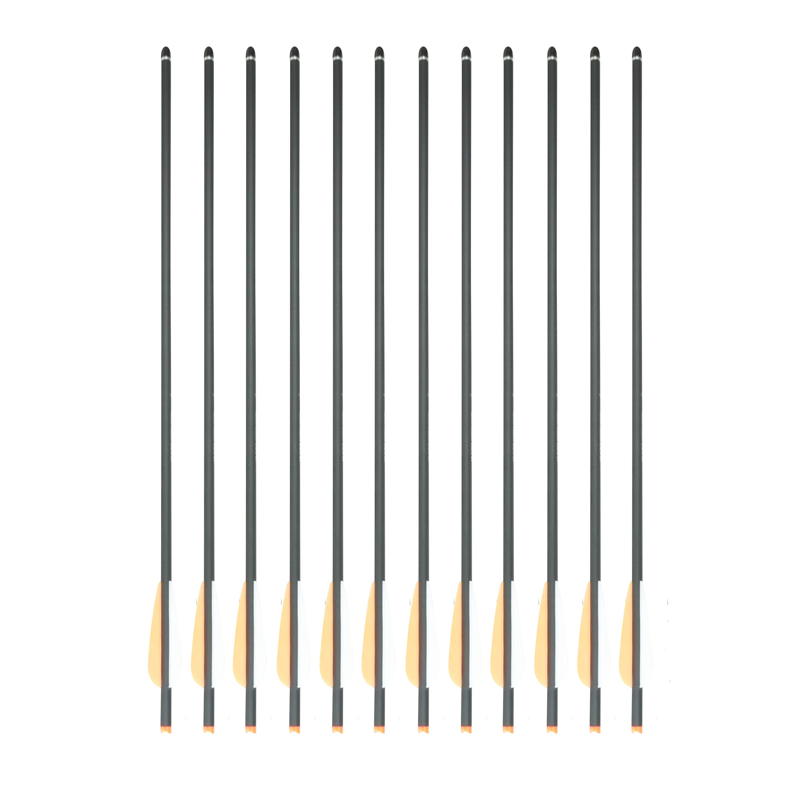 Wizard Archery SAS Carbon Crossbow Bolts 20 22 Inch with 3 inches Shield Vanes Pulletpoint Arrowhead Tip and Halfmoon Nock - 12/Pack - for Hunting Target Practice Archery Arrows (20 inches ) Orange/White Vanes