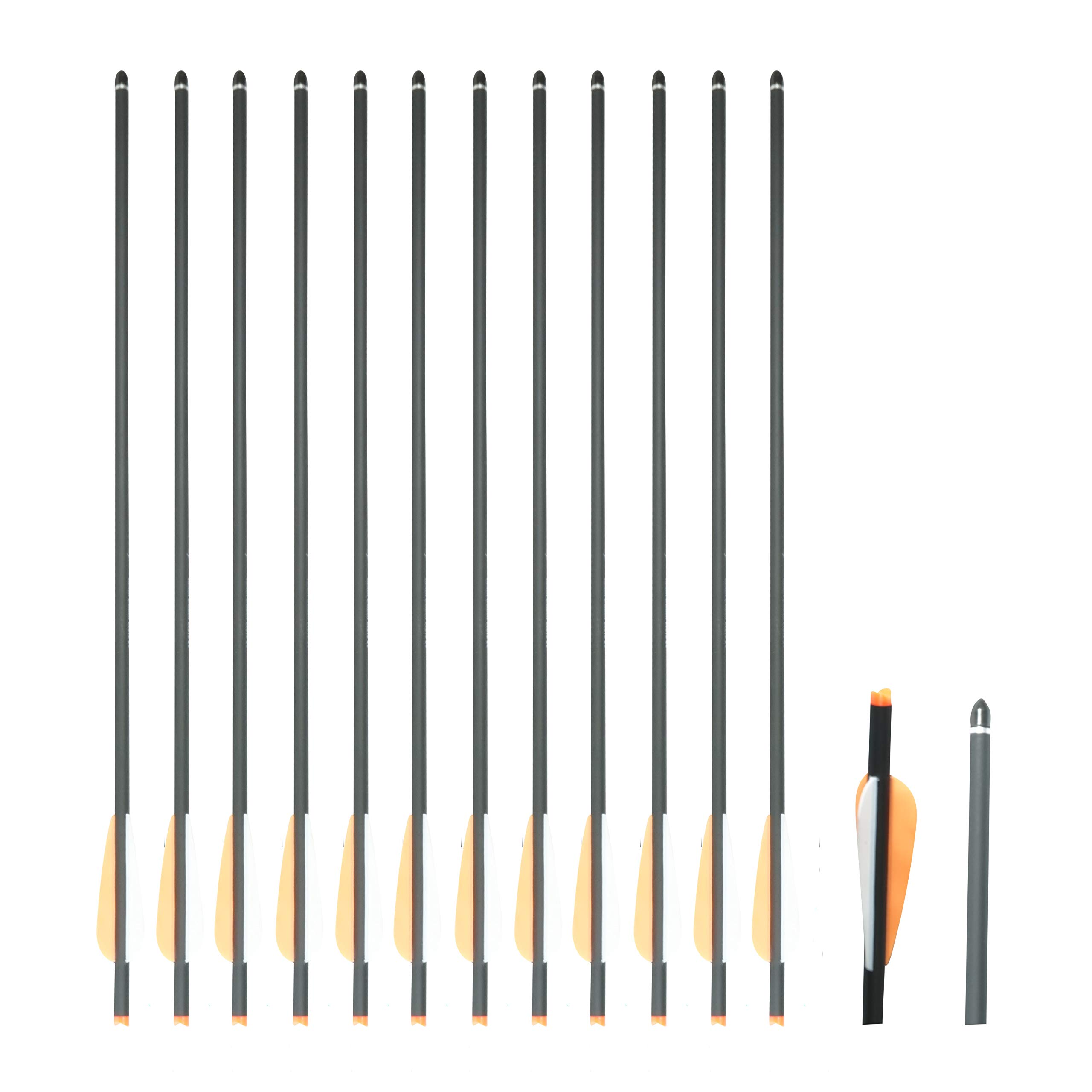 Wizard Archery SAS Carbon Crossbow Bolts 20 22 Inch with 3 inches Shield Vanes Pulletpoint Arrowhead Tip and Halfmoon Nock - 12/Pack - for Hunting Target Practice Archery Arrows (20 inches ) Orange/White Vanes