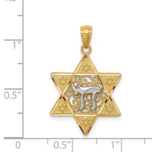 14k Two-tone Gold Polished Star of David w/Chai Pendant QK5707