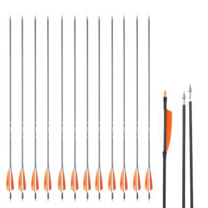 sas oblivion 30" carbon arrow 500 w/ 4" feathers (12/pack) fletched with extra 6xnocks + replaceable points (100-grain) w/ o-ring + protect sleeve + plug nock for hunting youth/adults - (4" feathers)