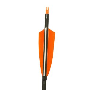 SAS Oblivion 30" Carbon Arrow 500 w/ 4" Feathers (12/Pack) Fletched with Extra 6xNocks + Replaceable Points (100-Grain) w/ O-Ring + Protect Sleeve + Plug Nock for Hunting Youth/Adults - (4" Feathers)