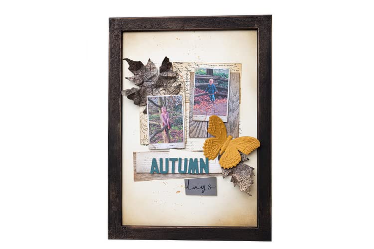 Sizzix Thinlits Die 665201 Perspective Butterfly by Tim Holtz, Multicolor