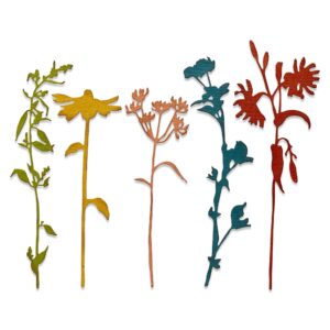 sizzix thinlits die 665221 wildflower stems #3 by tim holtz 5 pack, multicolor