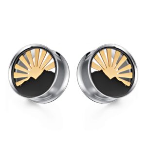 tbosen 2pcs sunrise style plugs and tunnels for ears stainless steel ear gauges piercing hangers expander stretchers 0g-1'' in 8mm-25mm