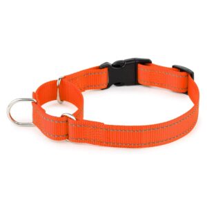 plutus pet reflective martingale collar with quick snap buckle,no pull dog choker collar for small medium large dogs,l,orange