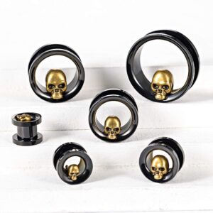 TBOSEN 2PCS Skull Style Ear Plugs Tunnels Expander Stainless Steel Ear Gauges Expander Stretcher Piercing Ear Gauges 0g-1" in 8mm-25mm 00g