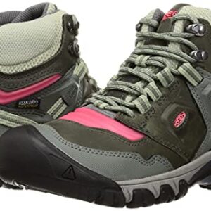 KEEN Women's Ridge Flex Mid Height Waterproof Hiking Boots, Castor Grey/Dubarry, 9