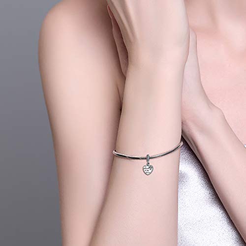 LONAGO Heart Urn Charm Hold Ashes for Bracelet Necklace 925 Sterling Silver Heart Shape Picture Bead Charm Gift for Women