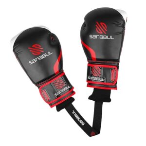 Sanabul Boxing Gloves Deodorizer Inserts | Charcoal Shoe Deodorizer Inserts | Boxing Glove Gym Bag and Sports Bag Deodorizer Inserts | Charcoal Odor and Moisture Absorber for Shoes