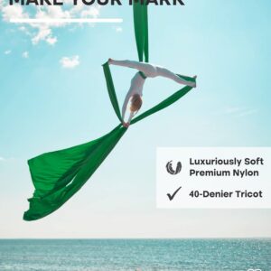 Aurora PRO Aerial Silks + Yoga Hammock (Full Rigging Hardware) Safety CE Certified - 100% Premium Nylon in 40 Denier