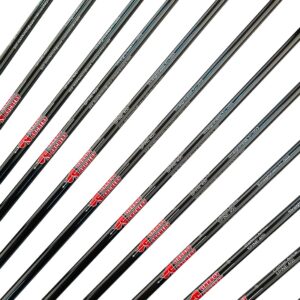 Linkboy Archery Carbon Arrow Hunting Practice Target Arrow with Removable Tip for Compound Recurve Bows, Spine 340,29inch Pack of 12PCS