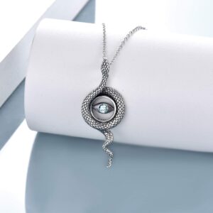 YAFEINI Snake Necklace Sterling Silver Evil Eye Snake Pendant Necklace Christmas Snake Jewelry Gifts For Women Mom