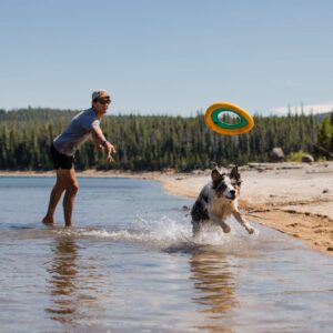 Ruffwear, Hydro Plane Floating Disc for Dogs, Aurora Teal, Large