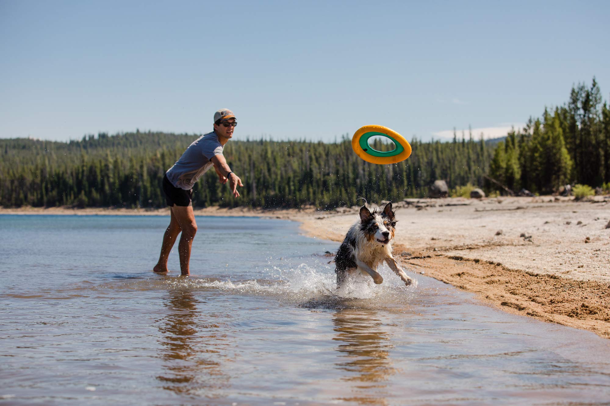 Ruffwear, Hydro Plane Floating Disc for Dogs, Aurora Teal, Large