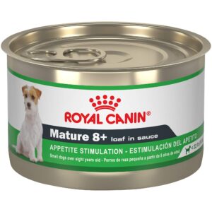 royal canin canine health nutrition mature 8+ loaf in sauce canned dog food, 5.2 oz can (24-count)