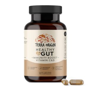 terra origin healthy gut capsules with immunity boost | 90 capsules | digestive support including intestinal permeability, ibs, bloating, gas and constipation* 30 servings/90 capsules.