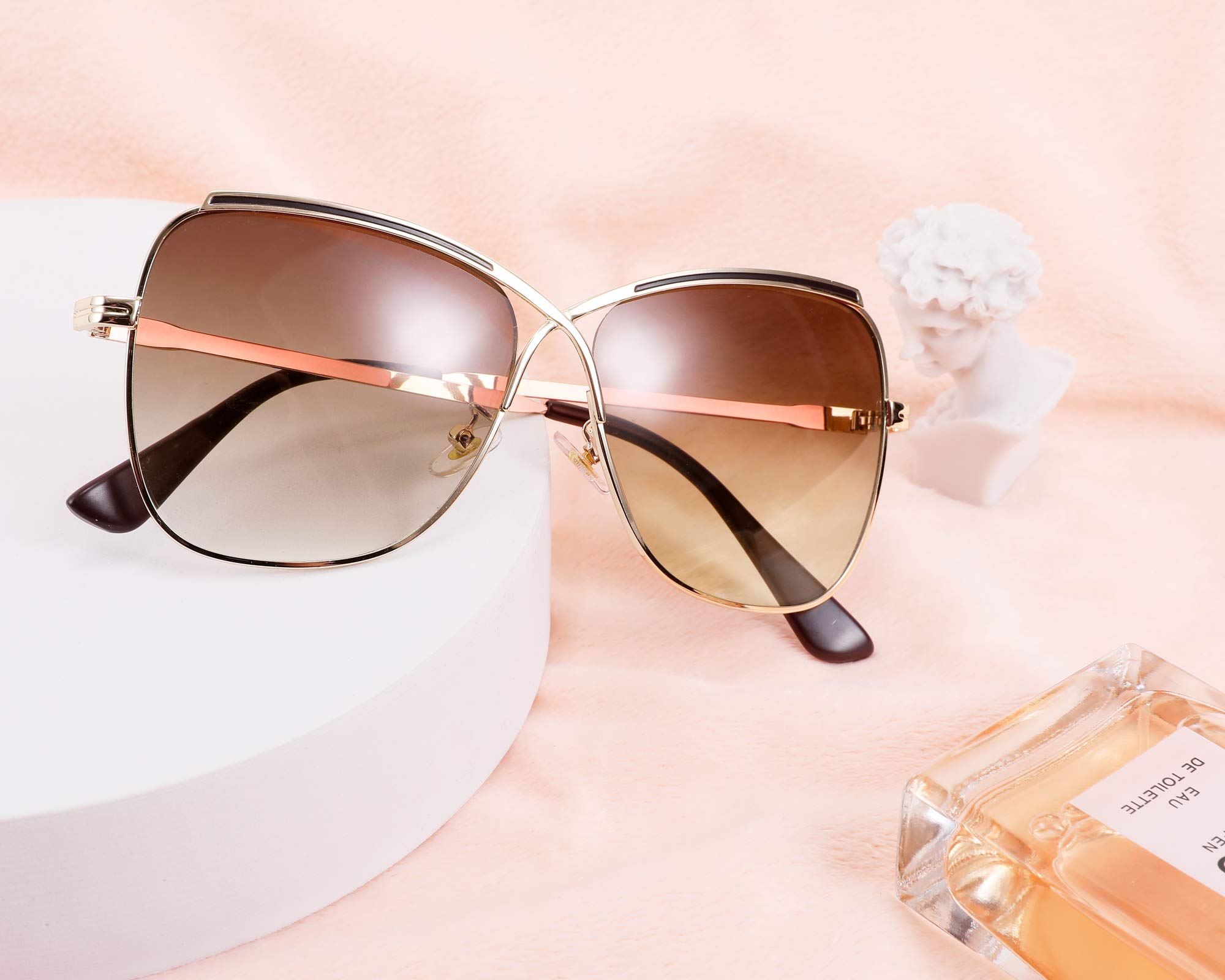 FEISEDY Womens Aviator Sunglasses Oversized Butterfly X Shape Design Cateye Cute Lady Sunglasses B2738