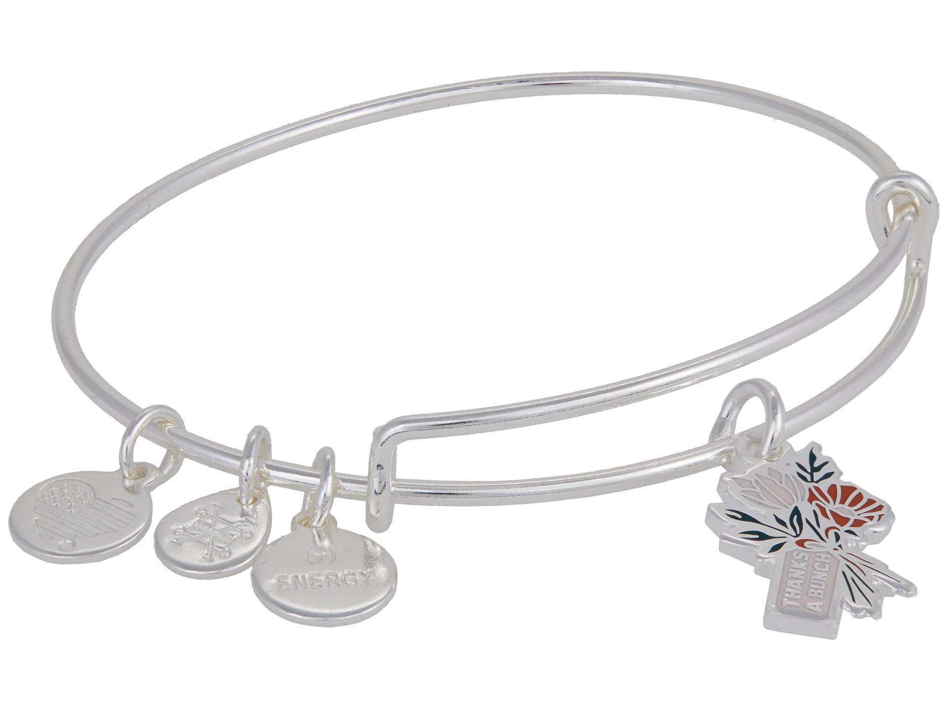 Alex and Ani Occasions Expandable Bangle for Women, Thanks a Bunch Charm, Shiny Silver Finish, 2 to 3.5 in