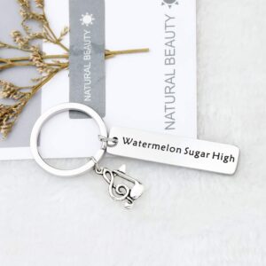 WSNANG Watermelon Sugar lyrics Inspired Gift Watermelon Sugar High Keychain Singer Fans Gift Music Lover Gift (Watermelon KC)