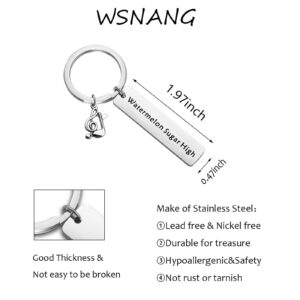 WSNANG Watermelon Sugar lyrics Inspired Gift Watermelon Sugar High Keychain Singer Fans Gift Music Lover Gift (Watermelon KC)