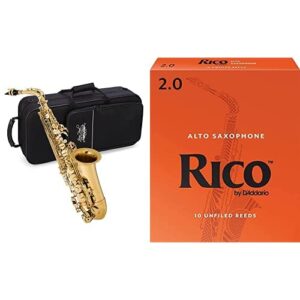 jean paul as-400 alto saxophone + rico alto sax reeds