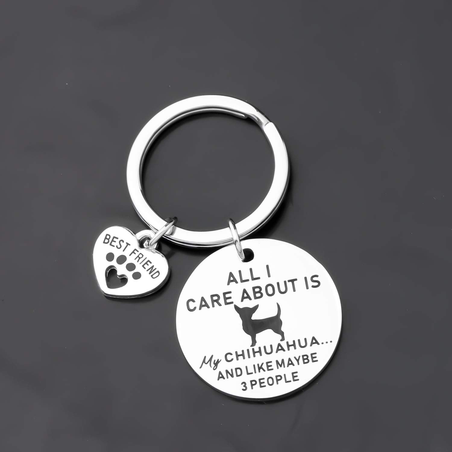 TIIMG Chihuahua Dog Keychain Chihuahua Mom Dad Gift Pet Dog Lover Gift Gift for Chihuahua Love (All care chihuahua)